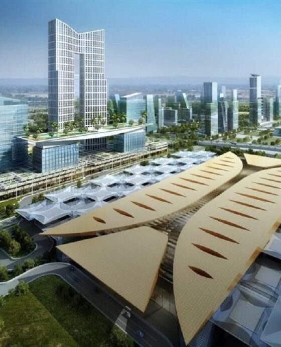 Cardinal Edge – Business Agency